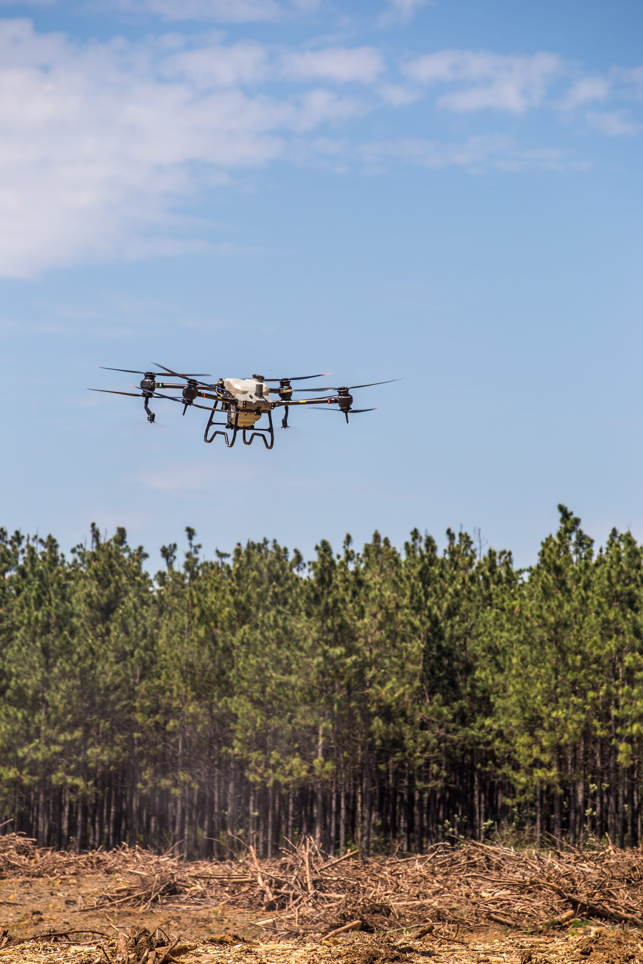 Monitoring and spraying with the DJI Agras T50 | Forsilvitech