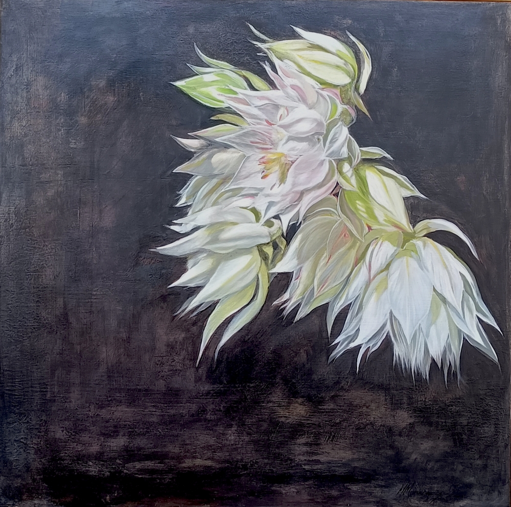 Art Gallery in Cape Palette, South Africa