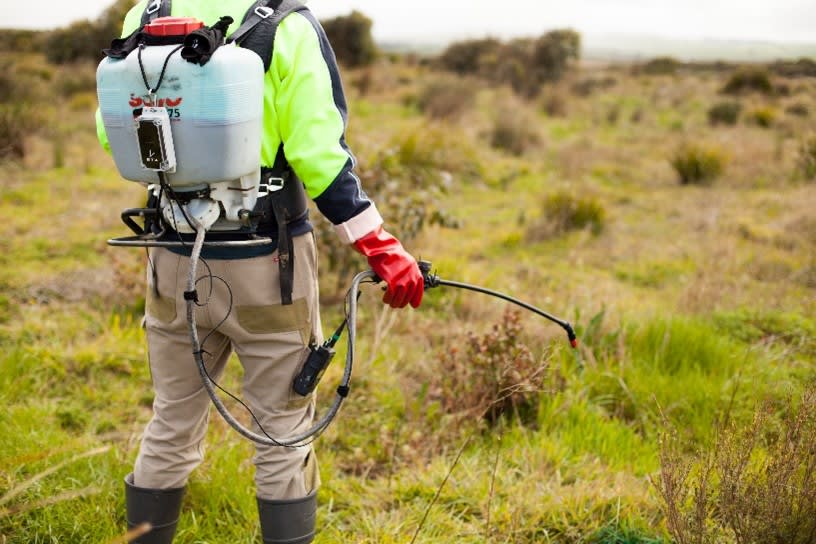 STA Explorer Set for Release: Smarter Tree Planting | Forsilvitech