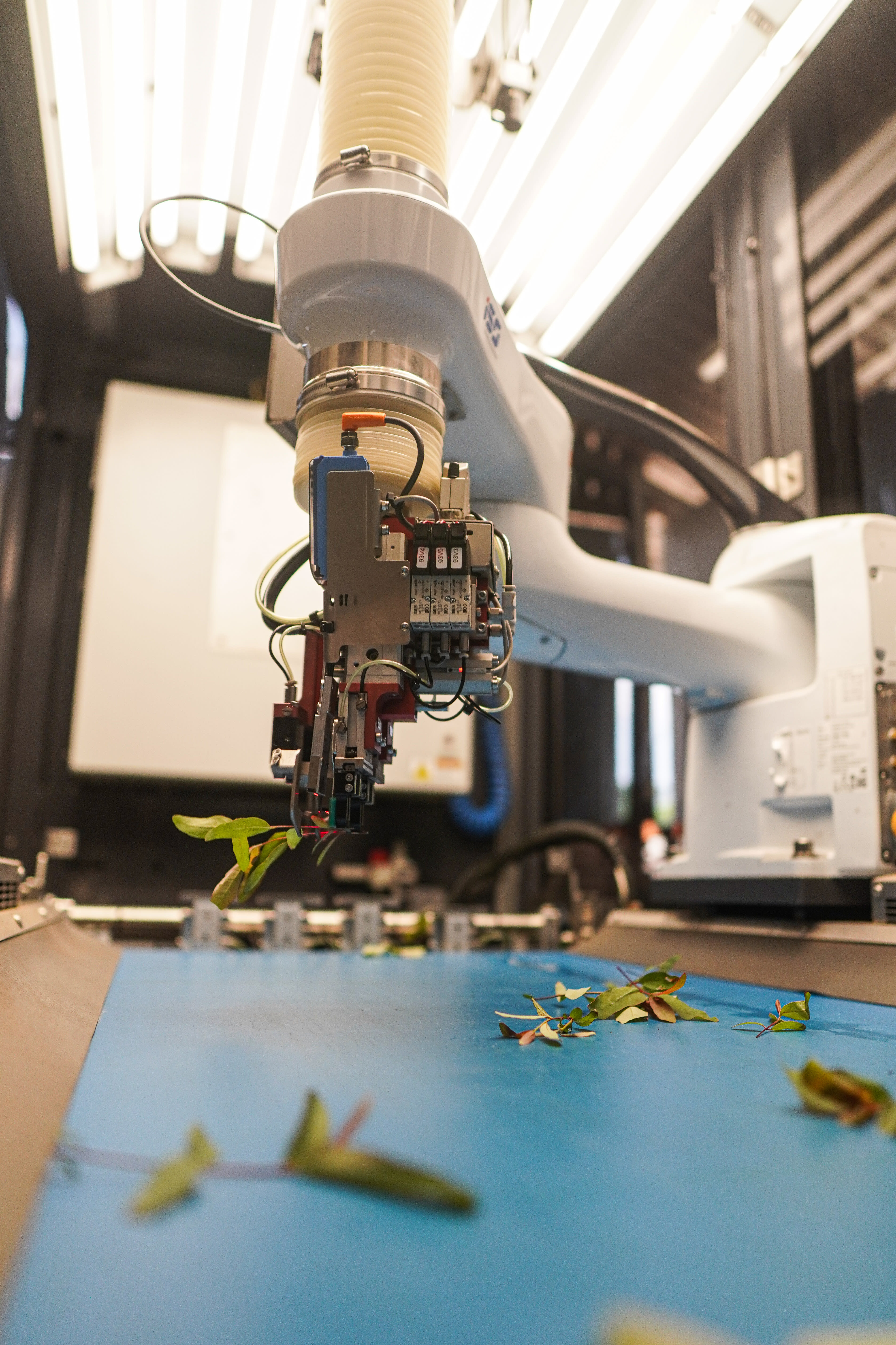 Innovation in Forest Nursery Automation: Transforming the Future of ...