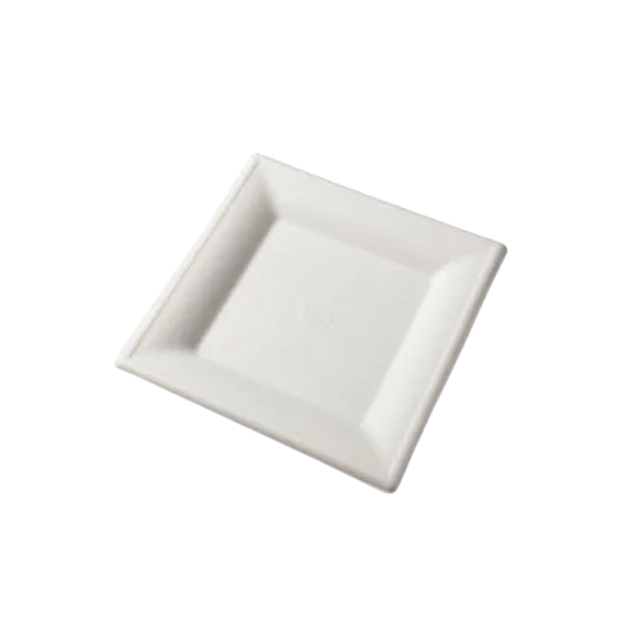 10" Square Plates | Biodegradable Bagasse Plates | Packachange