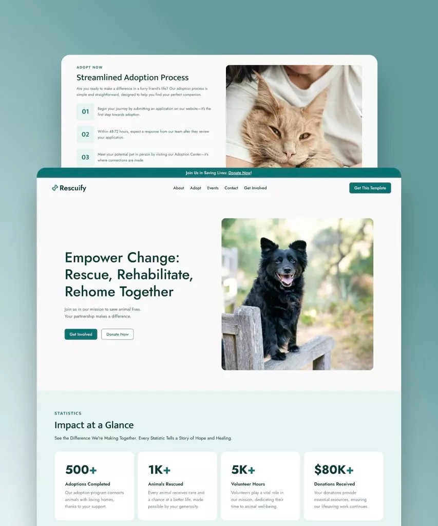 Rescuify — Animal Rescue