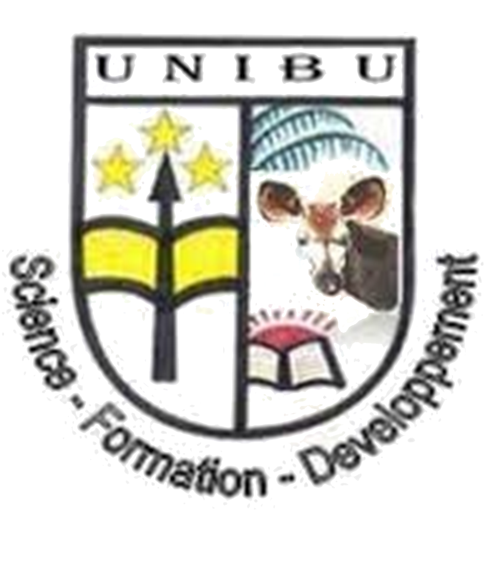 OptSolution - La solution optimale