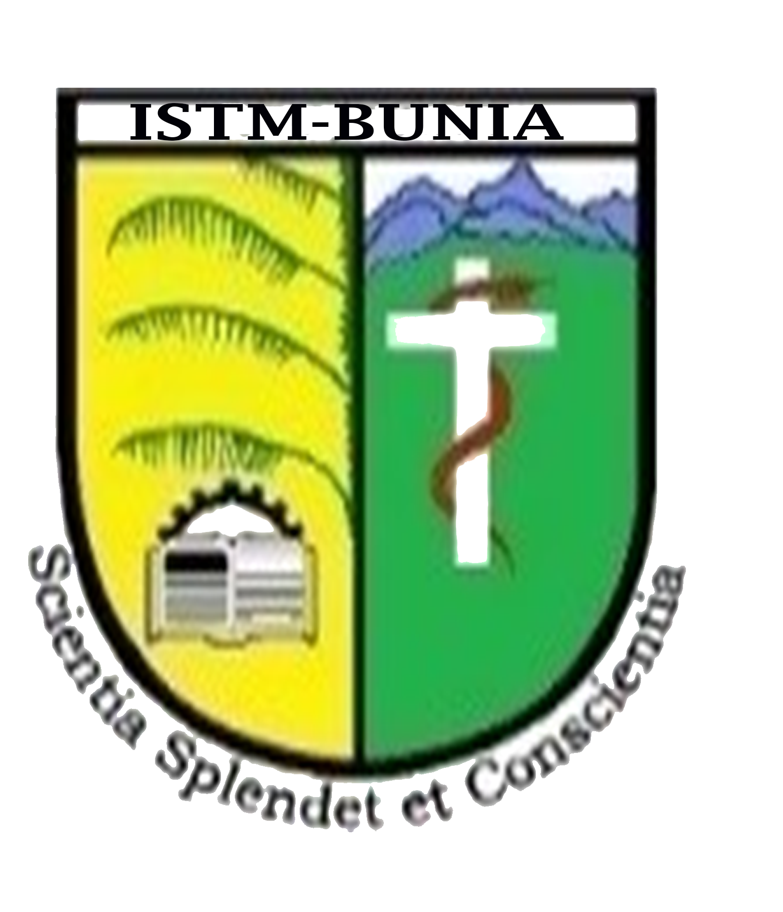 OptSolution - La solution optimale