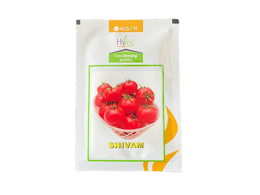 Hyveg seeds tomato (Shivam) | KrishDoctor - Agricultural Solutions