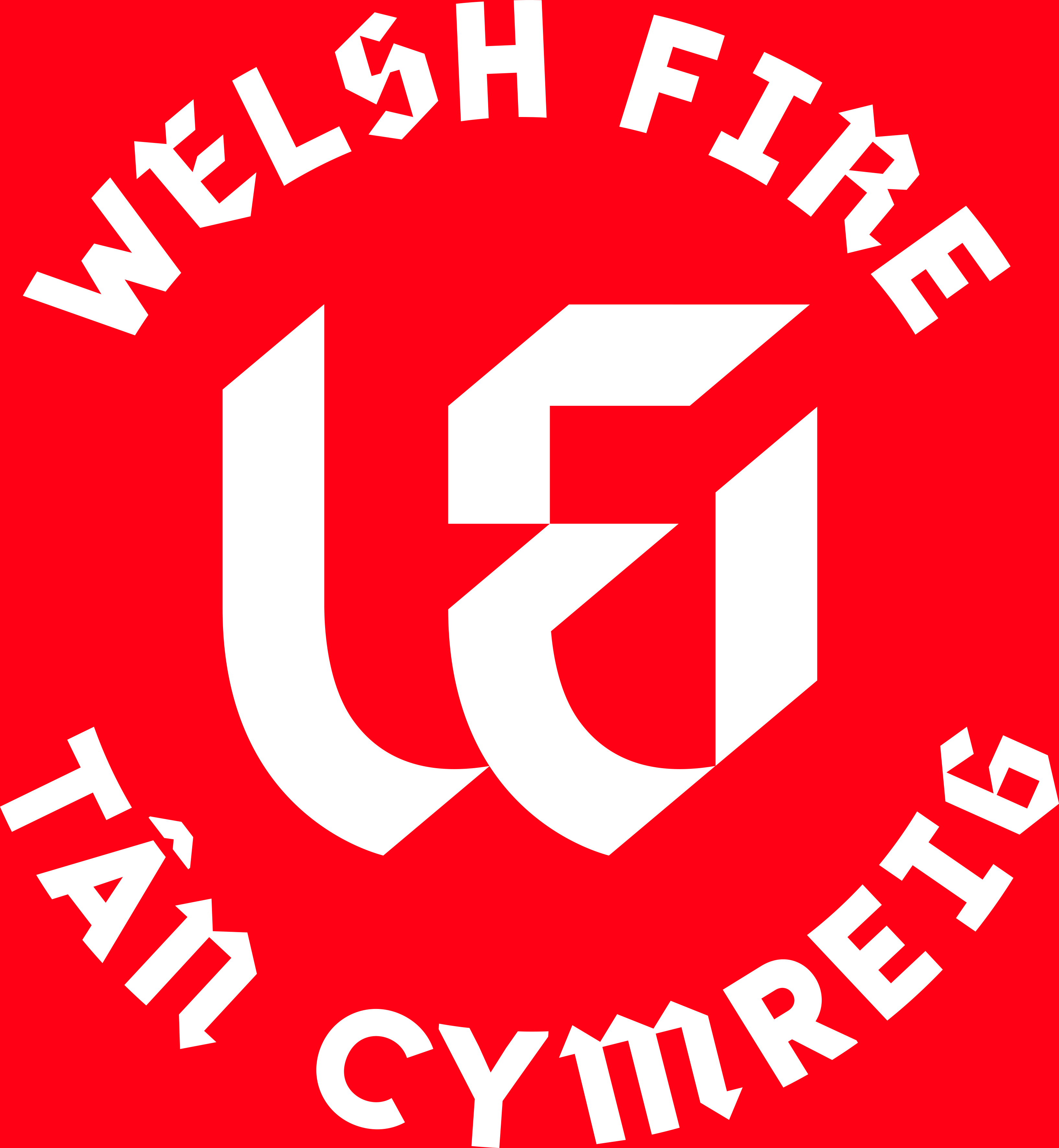 Welsh Fire Hospitality & VIP Tickets | The Hundred Cricket | Seat Unique