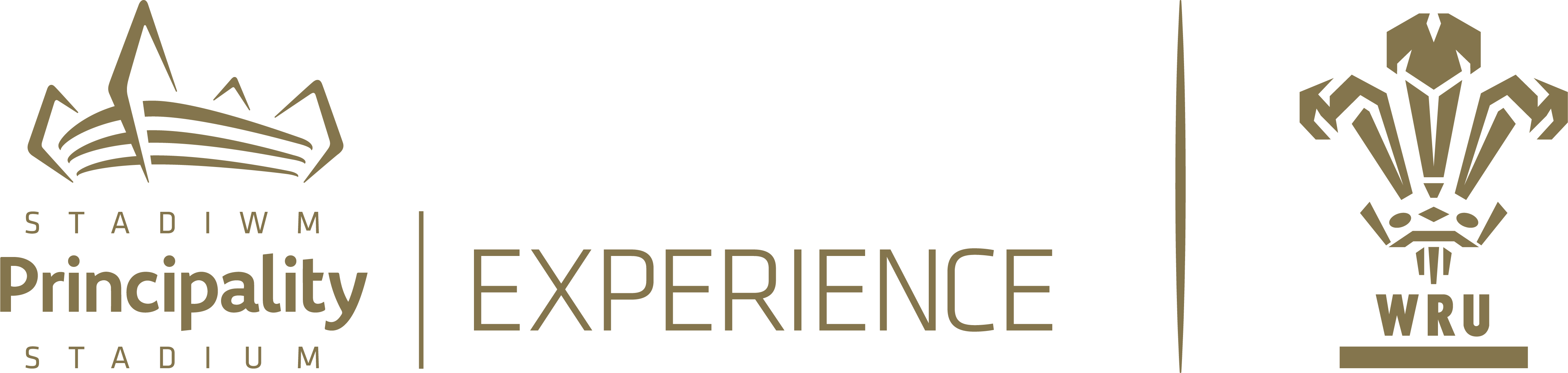 Principality Stadium Experience VIP Tickets 2025 | Principality Stadium ...
