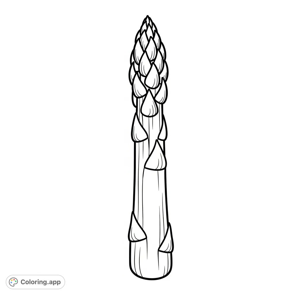 Fresh Asparagus Stalk - Coloring.app