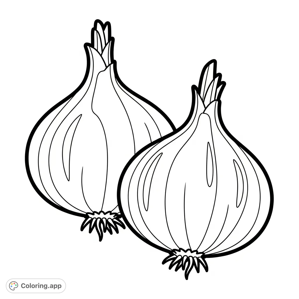 Simple Pair of Onions - Coloring.app