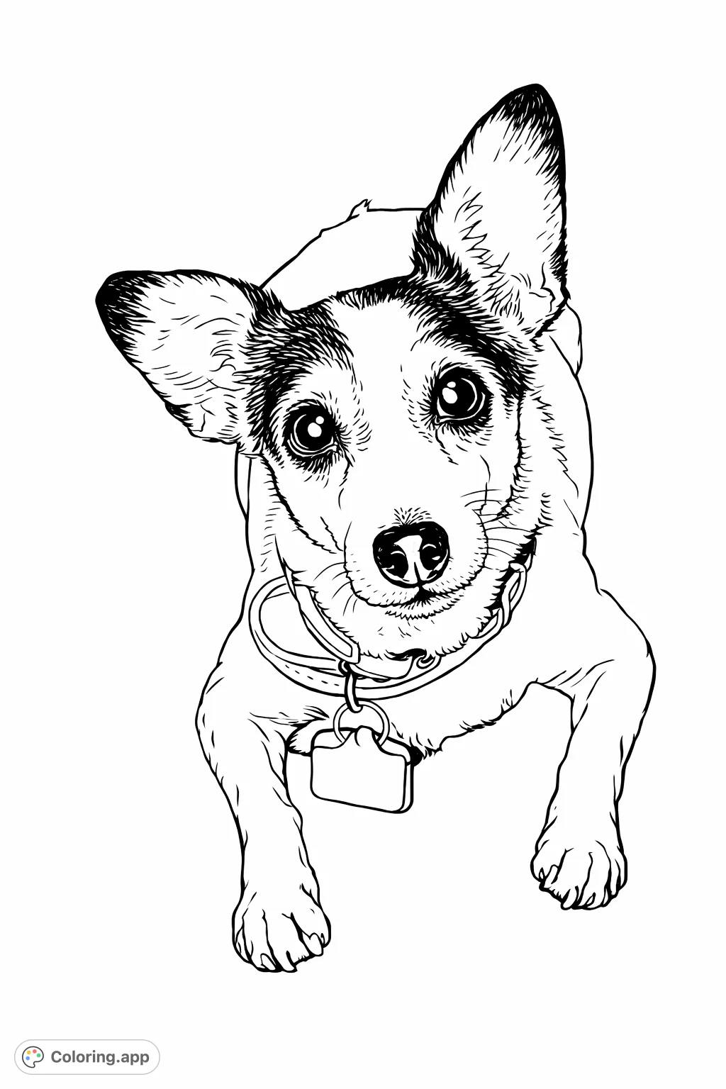 Sweet Doggy Face - Coloring.app