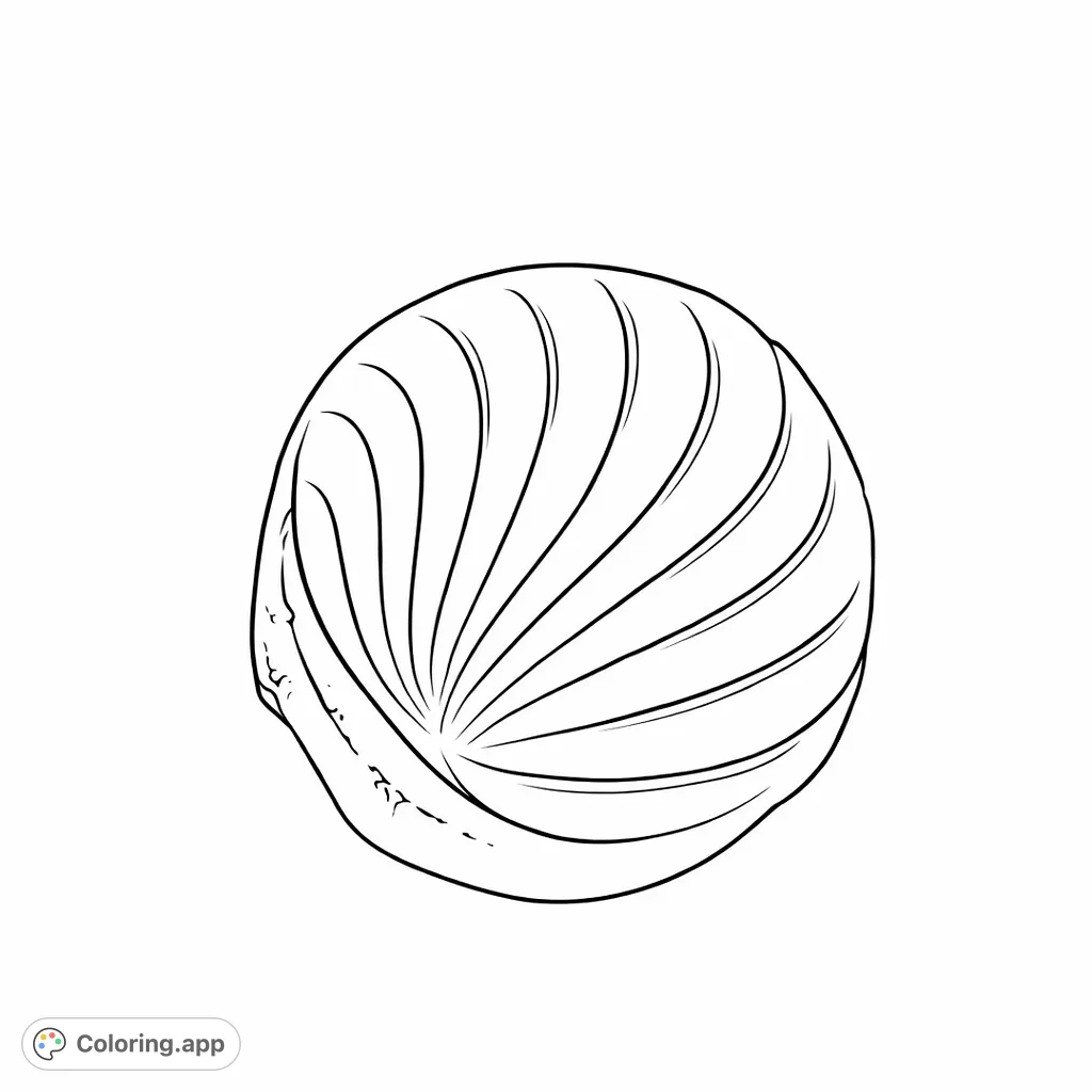 Traditional Concha Sweet Bread - Coloring.app