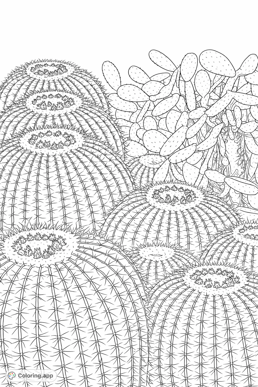 Spiky Desert Cacti - Coloring.app
