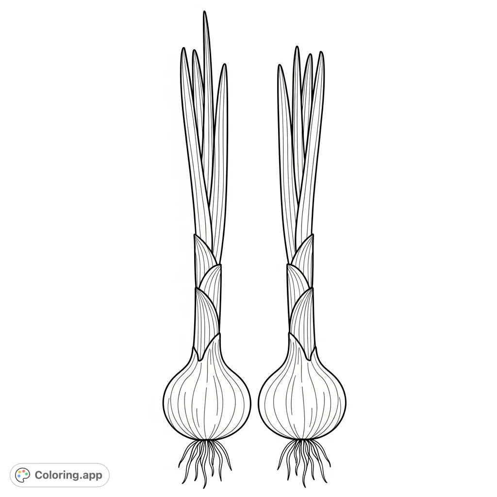 Fresh Garden Onions - Coloring.app