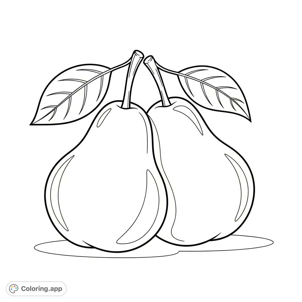 Simple Two Pears - Coloring.app