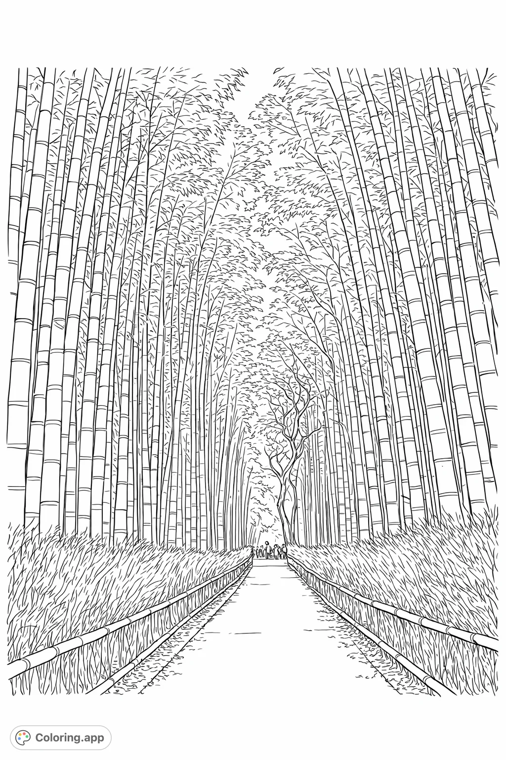 Serene Bamboo Forest Path - Coloring.app