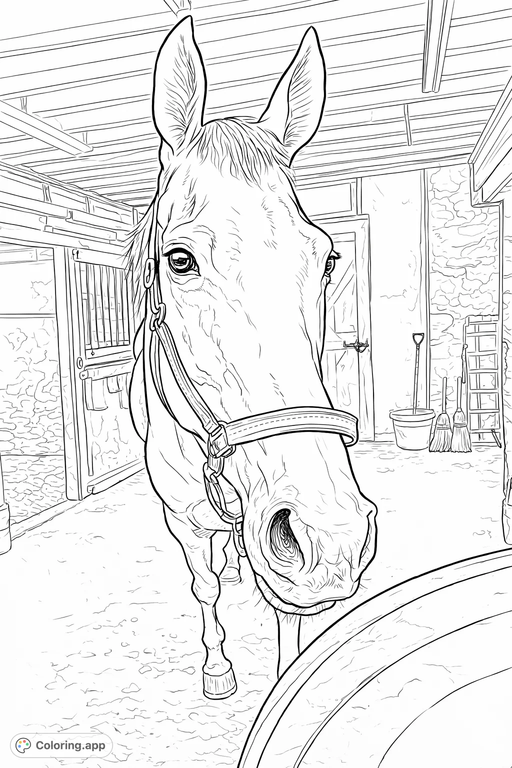 Majestic Horse in Stable - Coloring.app