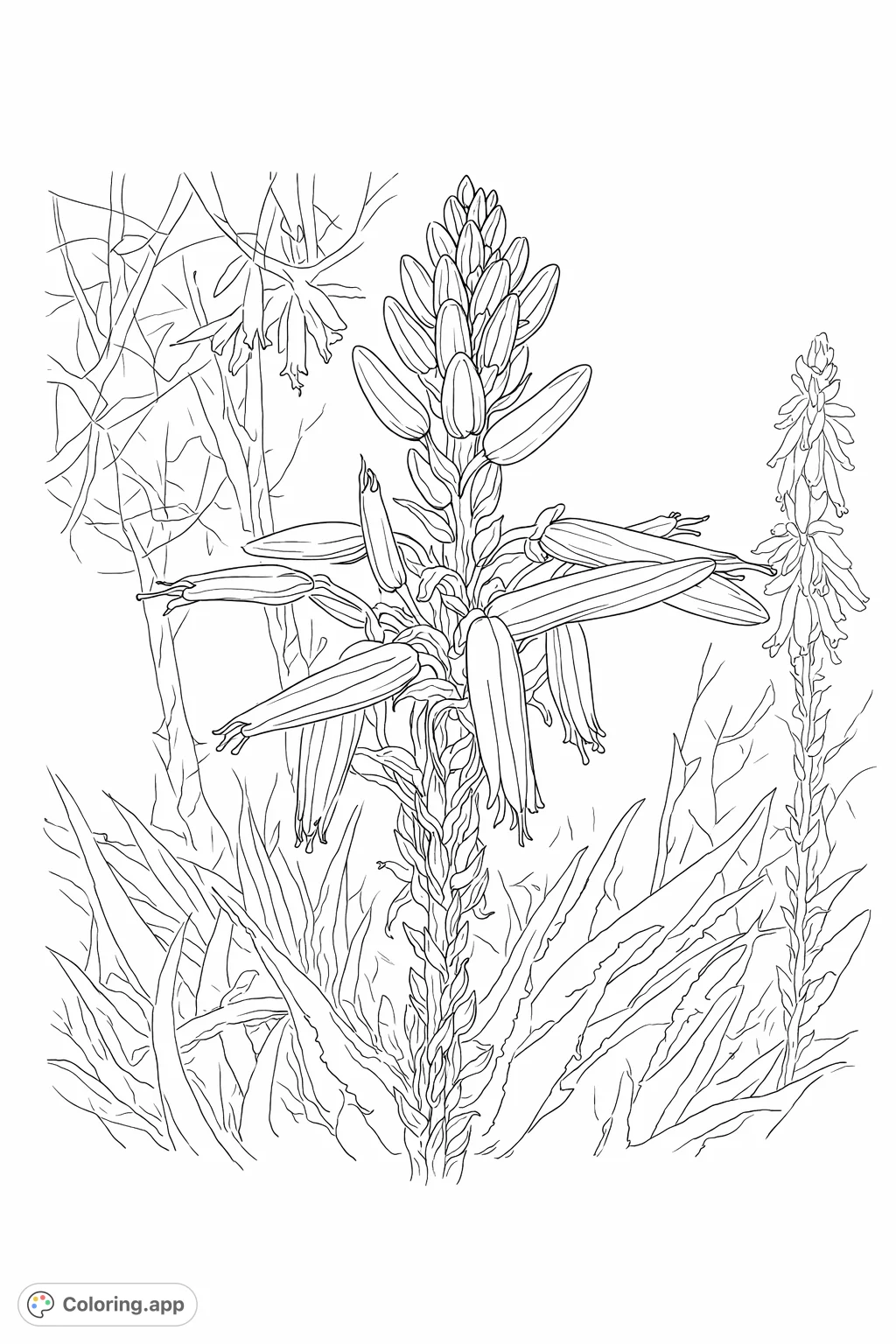 Desert Aloe Blossom - Coloring.app
