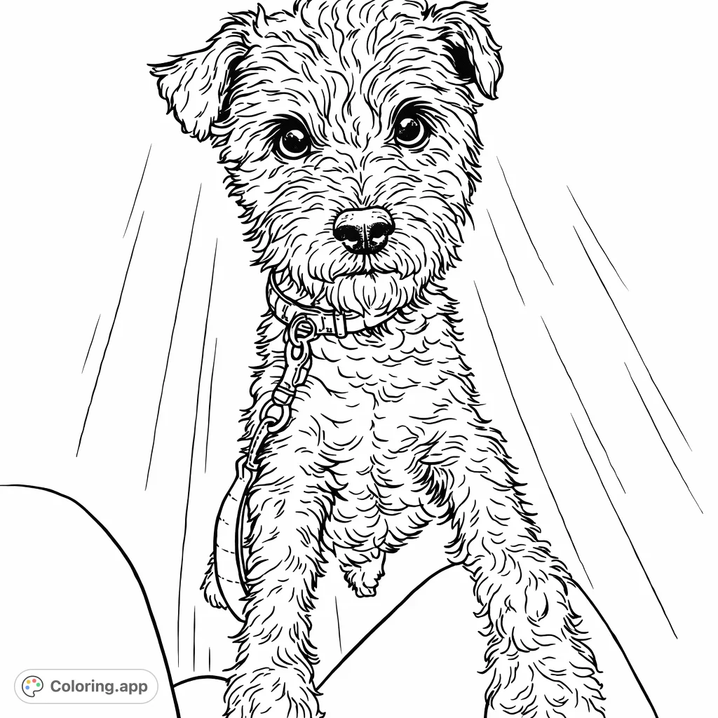 Affectionate Dog Paws - Coloring.app