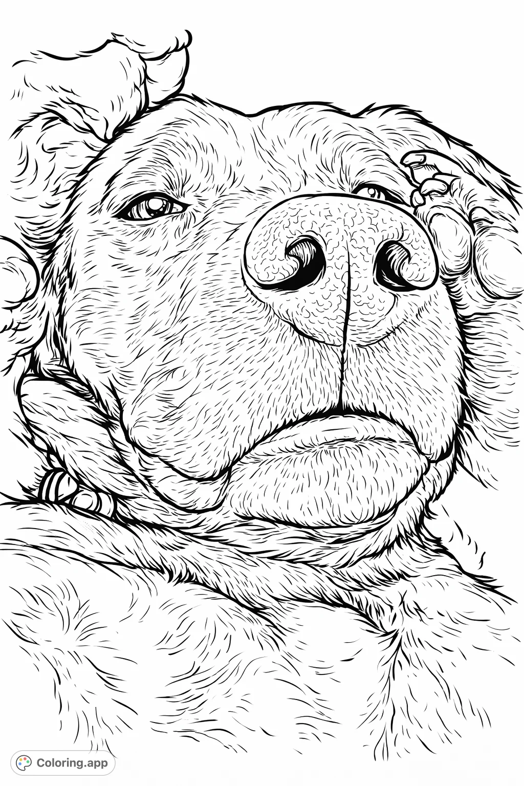 Playful Canine Portrait - Coloring.app