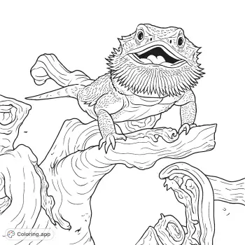 coloring pages bearded dragon