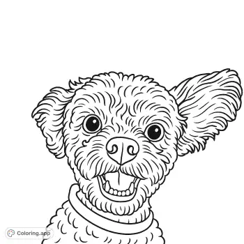 fur coloring page