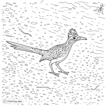 coloring page roadrunner