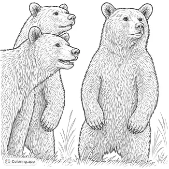 standing bear coloring page