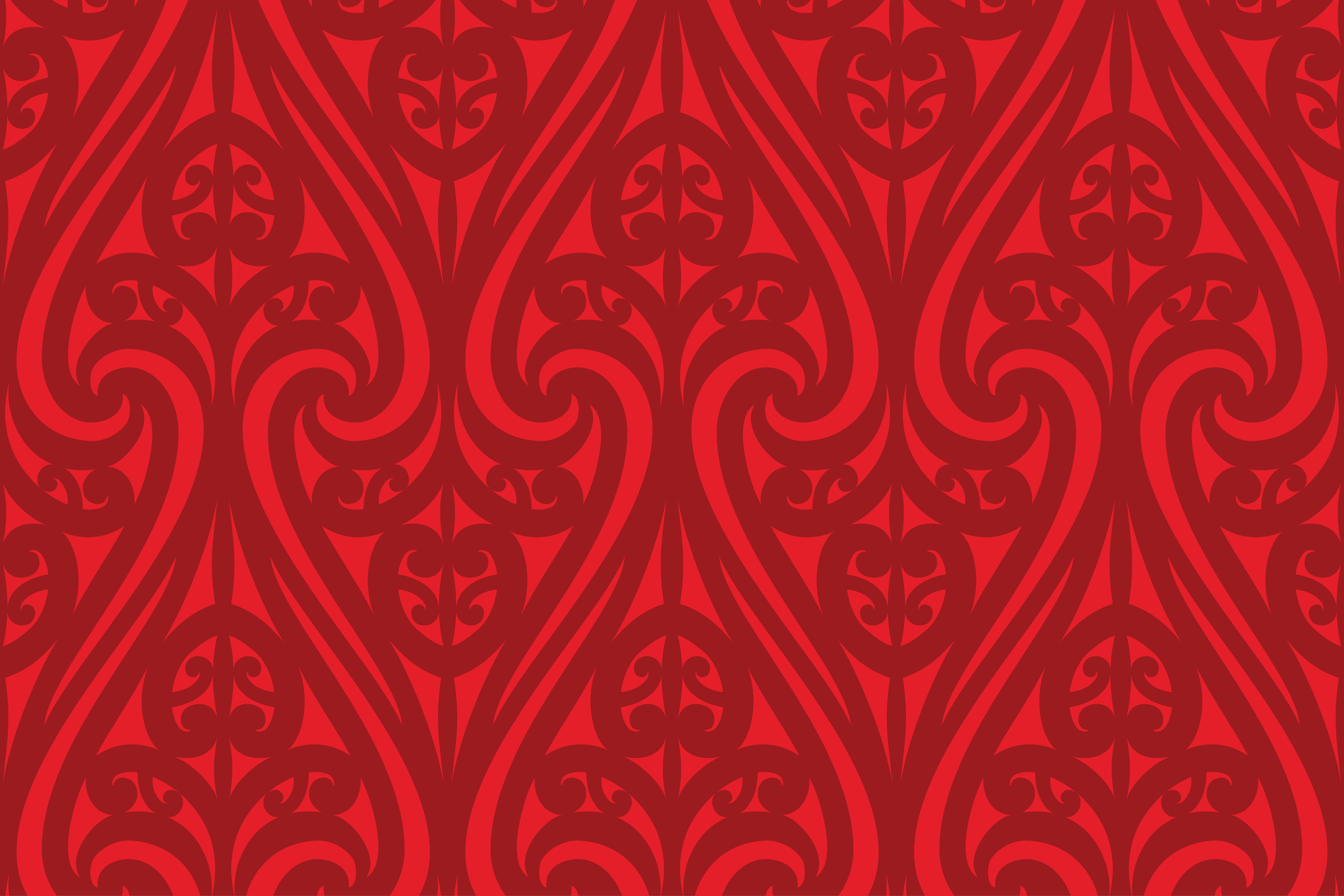 Next steps after graduation