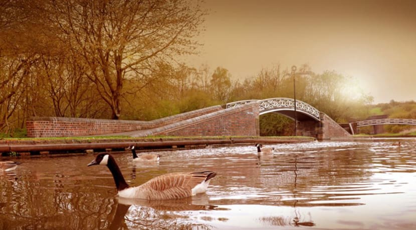 Explore The Black Country Geopark This October Half Term explore-the-black-country-geopark-this-october-half-term