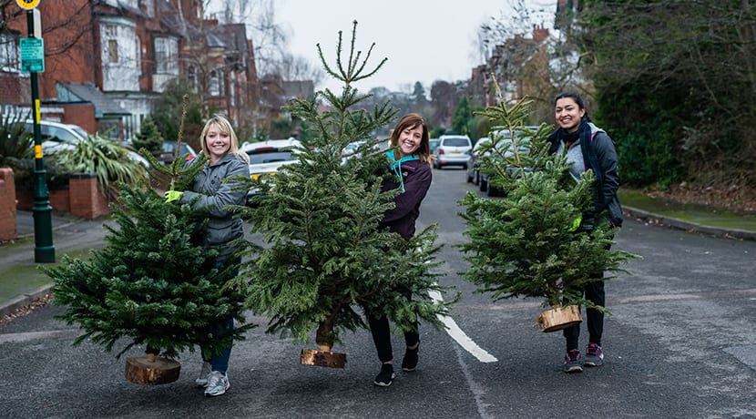 ‘Treecycle’ your Christmas tree to raise funds for Birmingham St Mary's ...