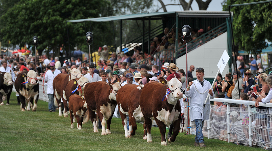 Three Counties Showground