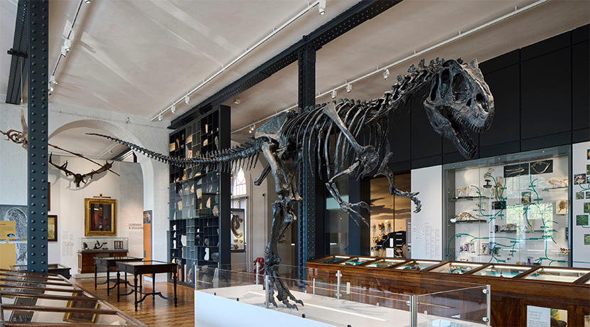 Murder In The Museum at Lapworth Museum of Geology