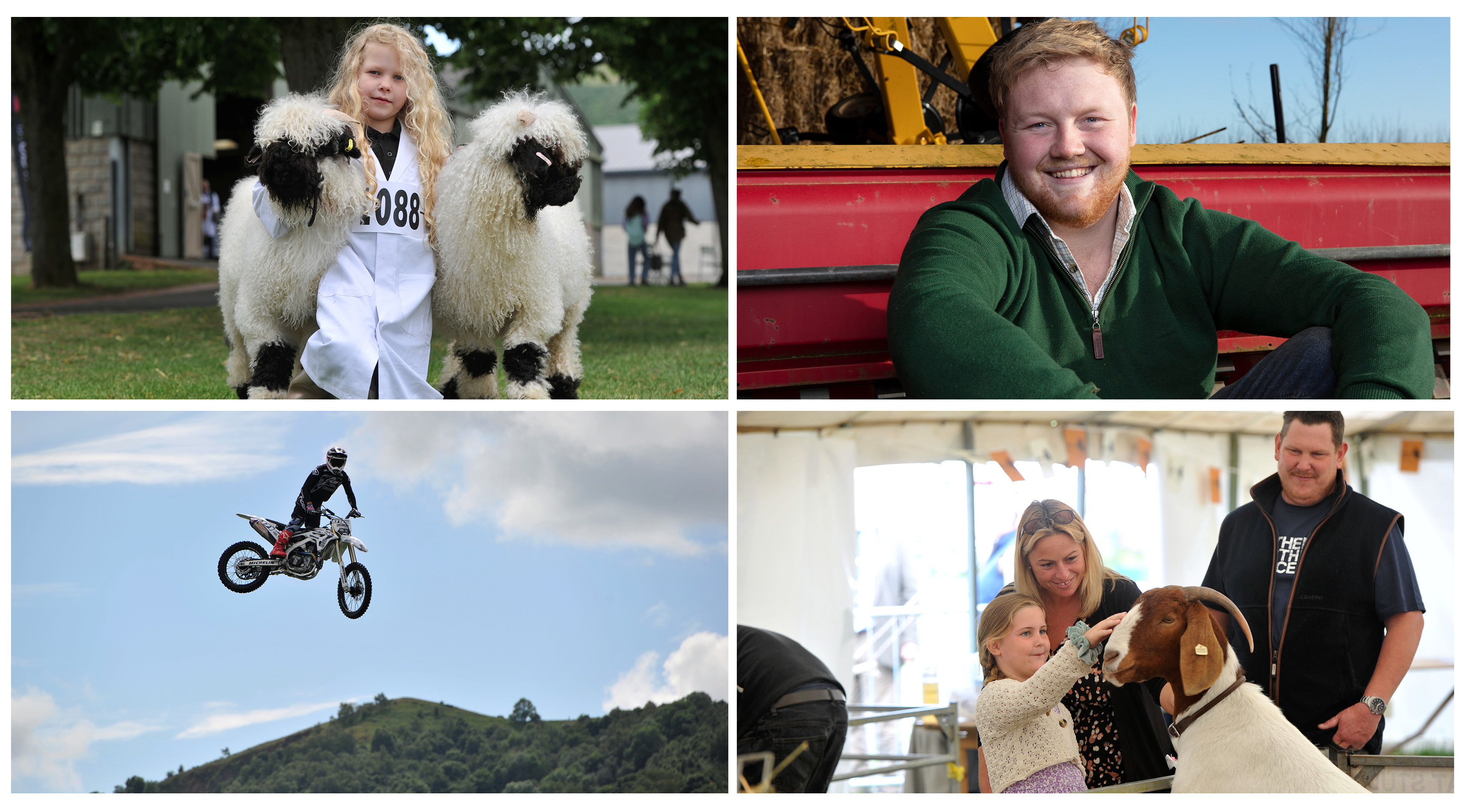 Unique animal encounters and exhilarating entertainment await!