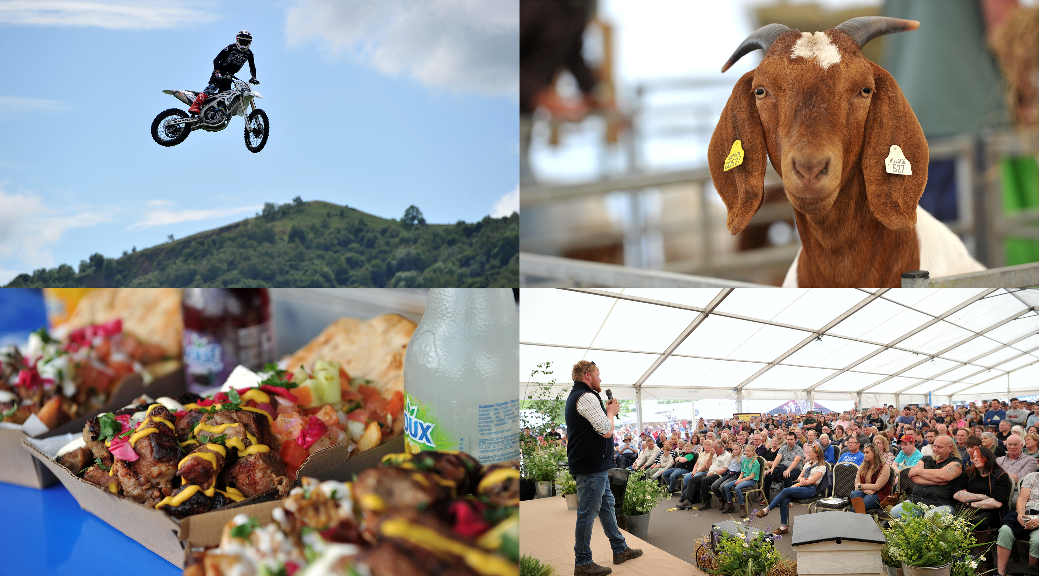 Top five unmissable highlights at the Royal Three Counties Show