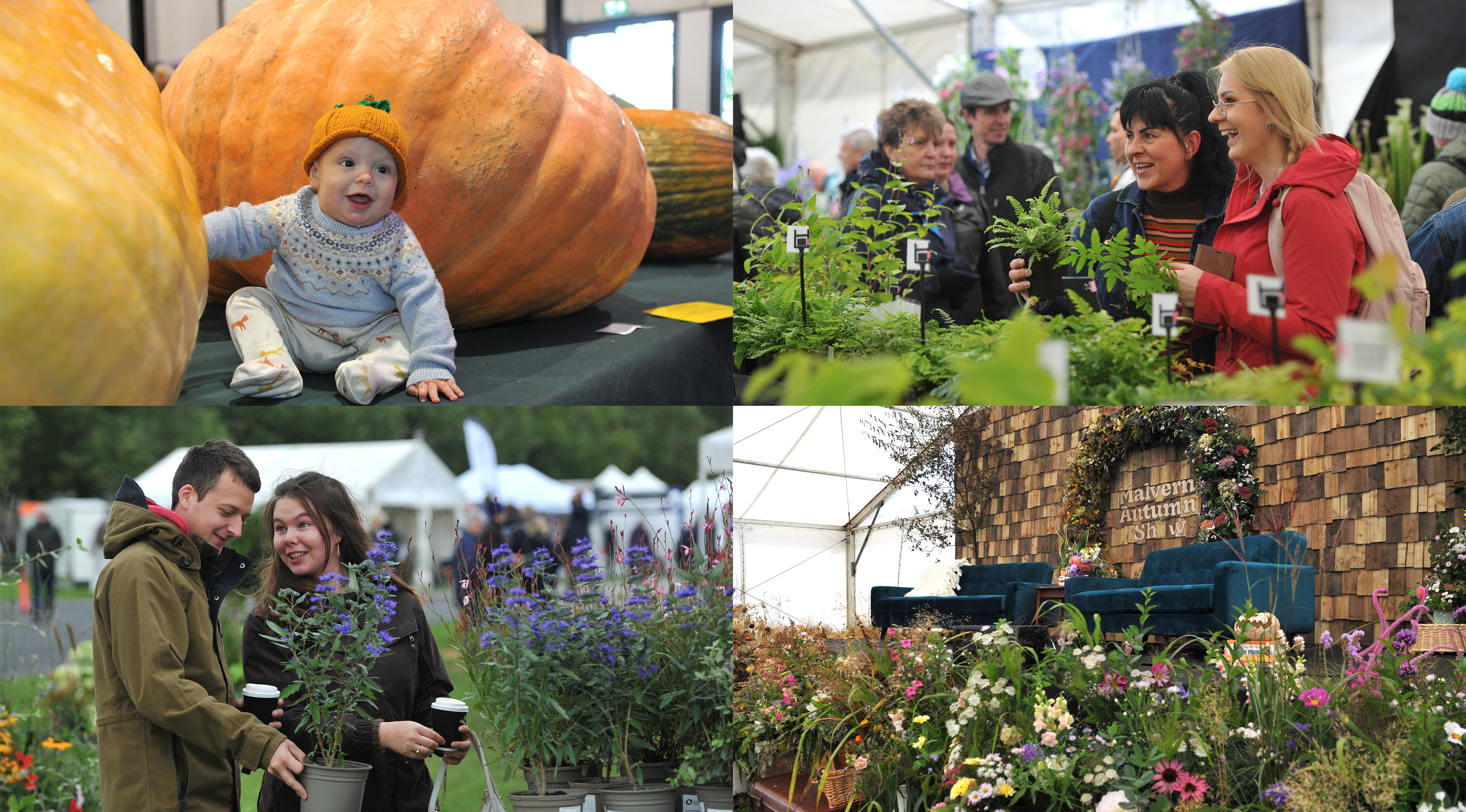 Malvern Autumn Show returns this September!