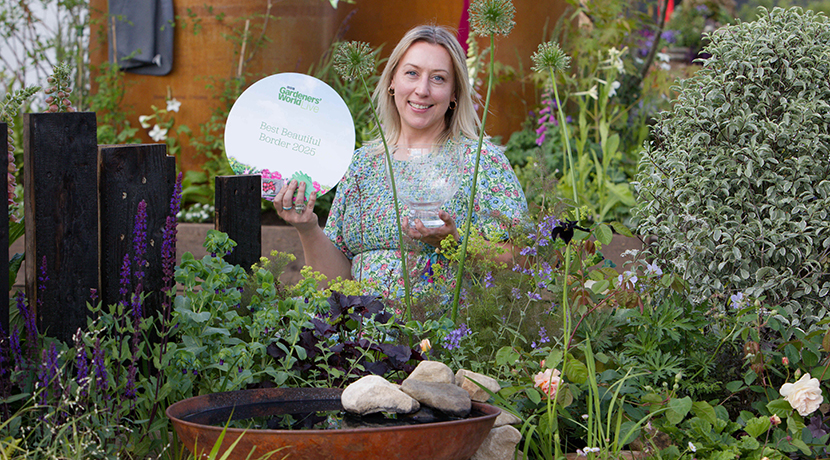 Less than two weeks to go to enter a Beautiful Border design for BBC ...