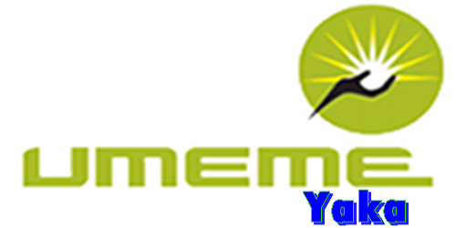 Common Umeme Yaka Meter Uganda Questions Solved | Thekonsulthub.com