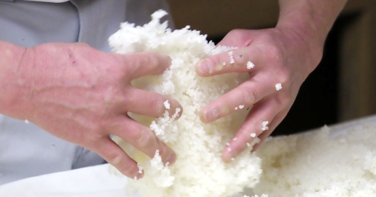 Kikusui Sake Brewery Tasting Tour | Iida, Nagano | LASTMINUTE