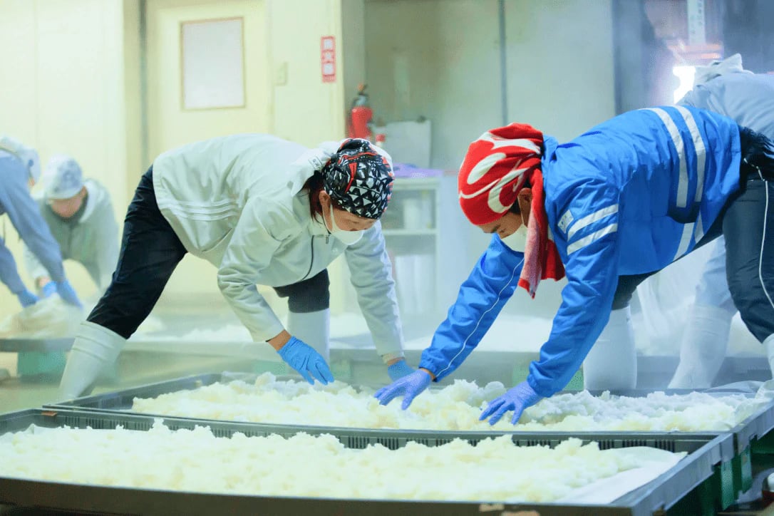 Yamashiroya Sake Brewery Tasting Tour | Yamaguchi, Yamaguchi | LASTMINUTE