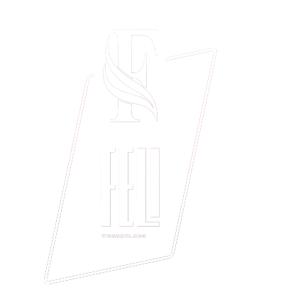 FELI Technology