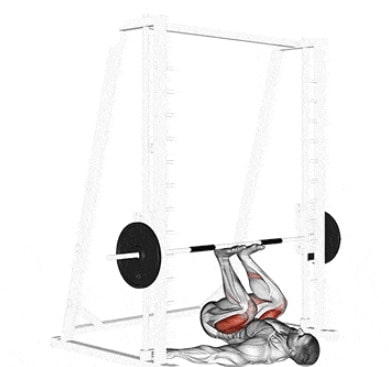 Smith Machine Leg Press Muscle Worked, Benefits & Gif image