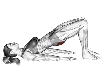 Glute Bridge Muscle Worked, Benefits & Gif image