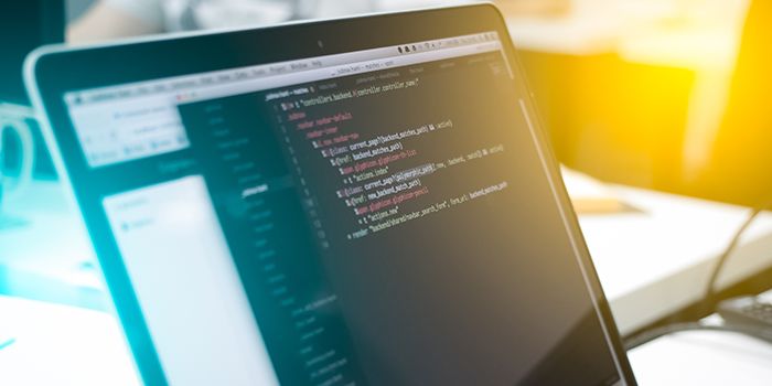 How to Appropriately Use Web Development Jargon | Trellis Inc.