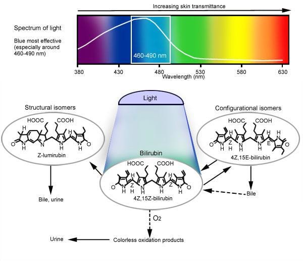 How is Photo therapy a cure for Neonatal Jaundice?