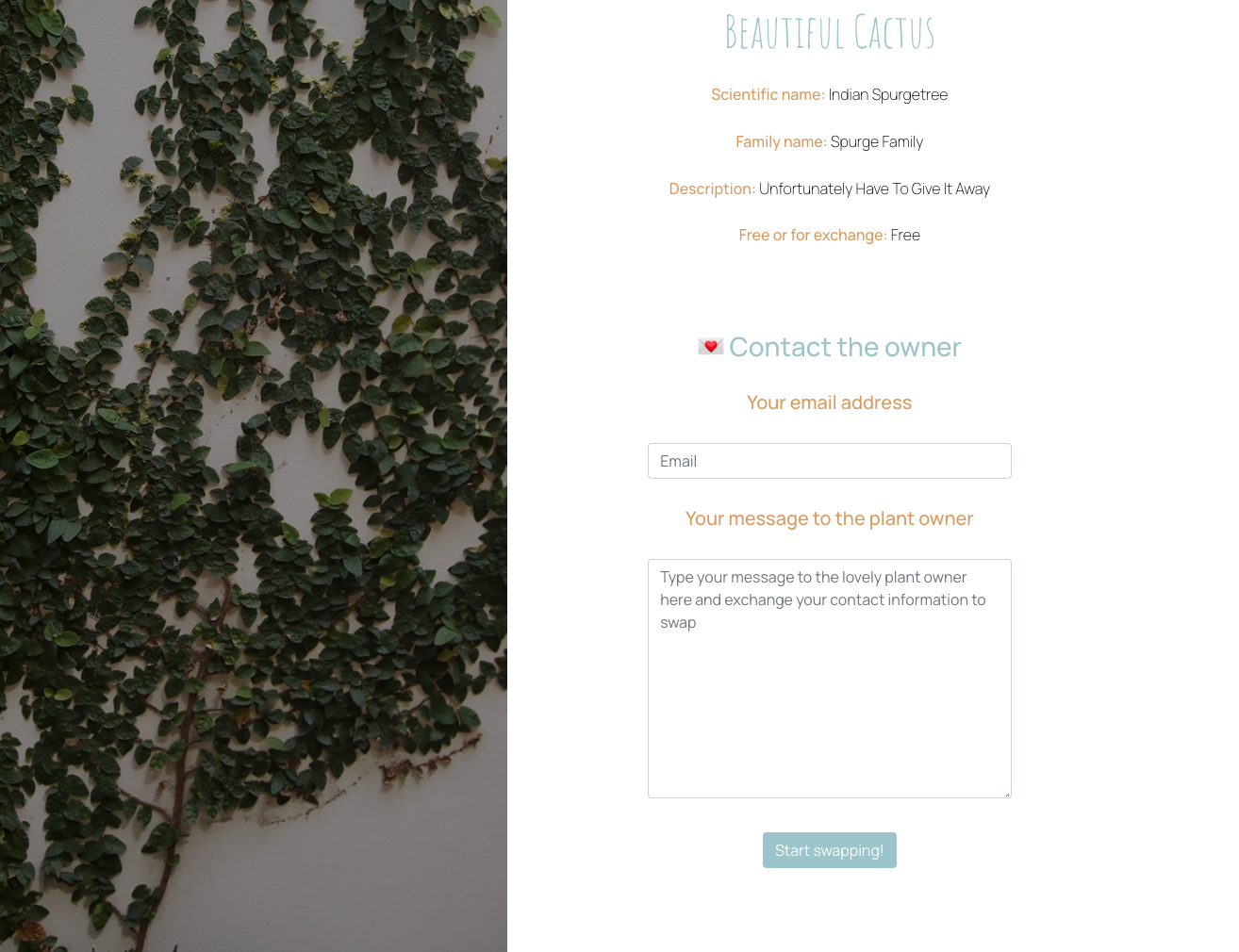 GitHub - skasslatter/Project-3-Stekkie-client