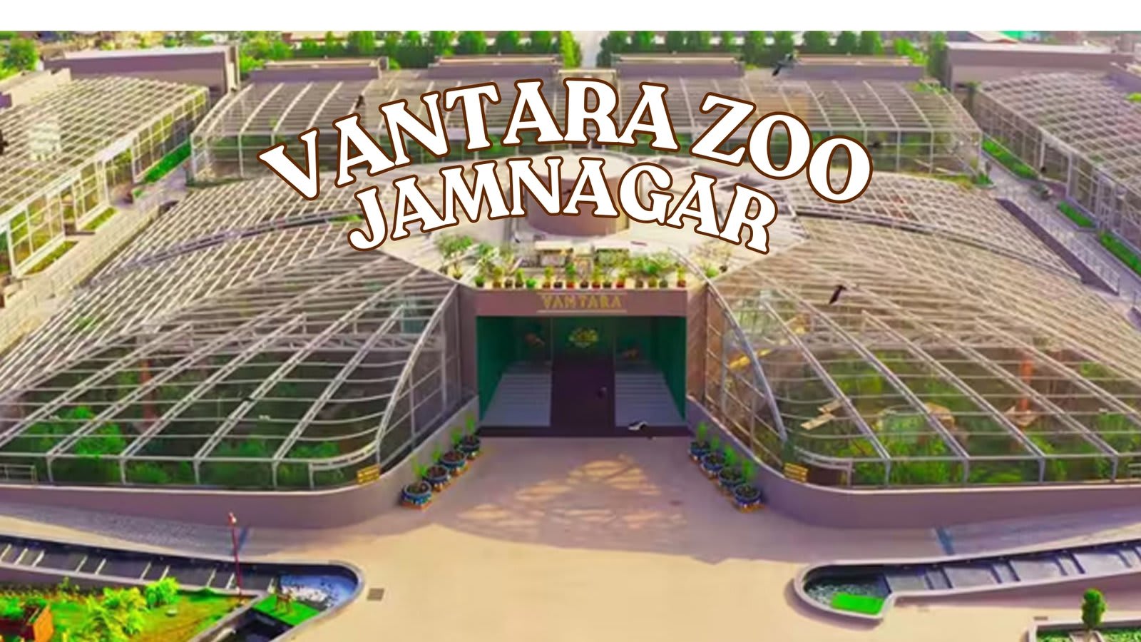 "Vantara Zoo: The Ultimate Wildlife Experience in Jamnagar ...