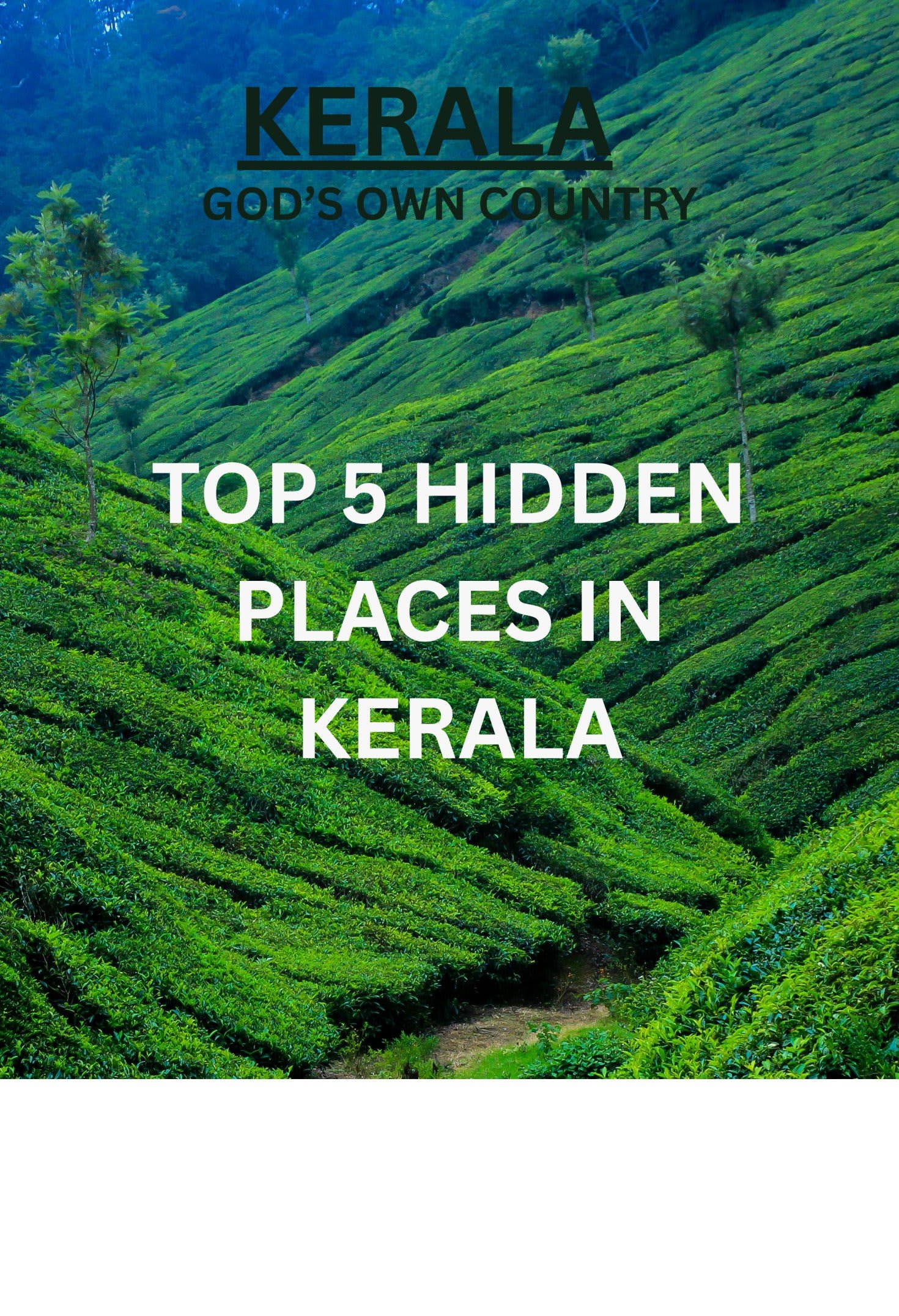 Top 5 Secret & Hidden Places in Kerala Away from Crowds - FoodnTravel ...