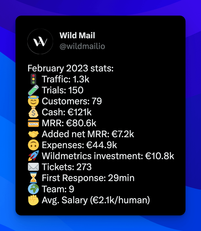 Wild Mail | Informe financiero
