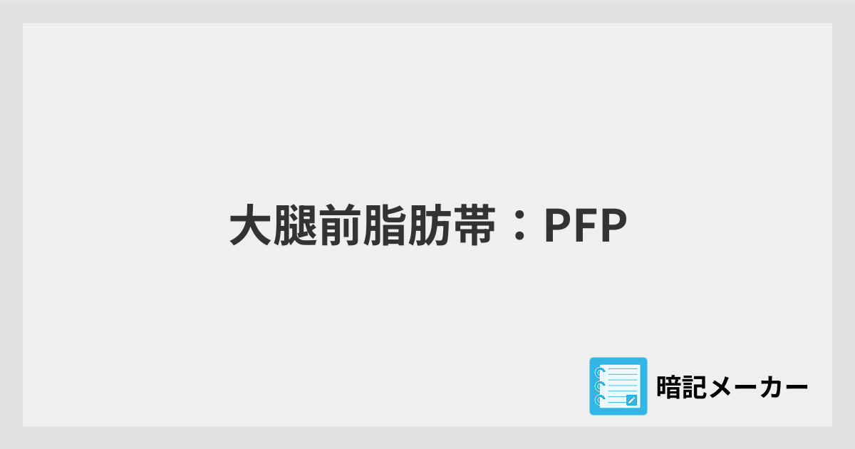 大腿前脂肪帯：PFP | 暗記メーカー