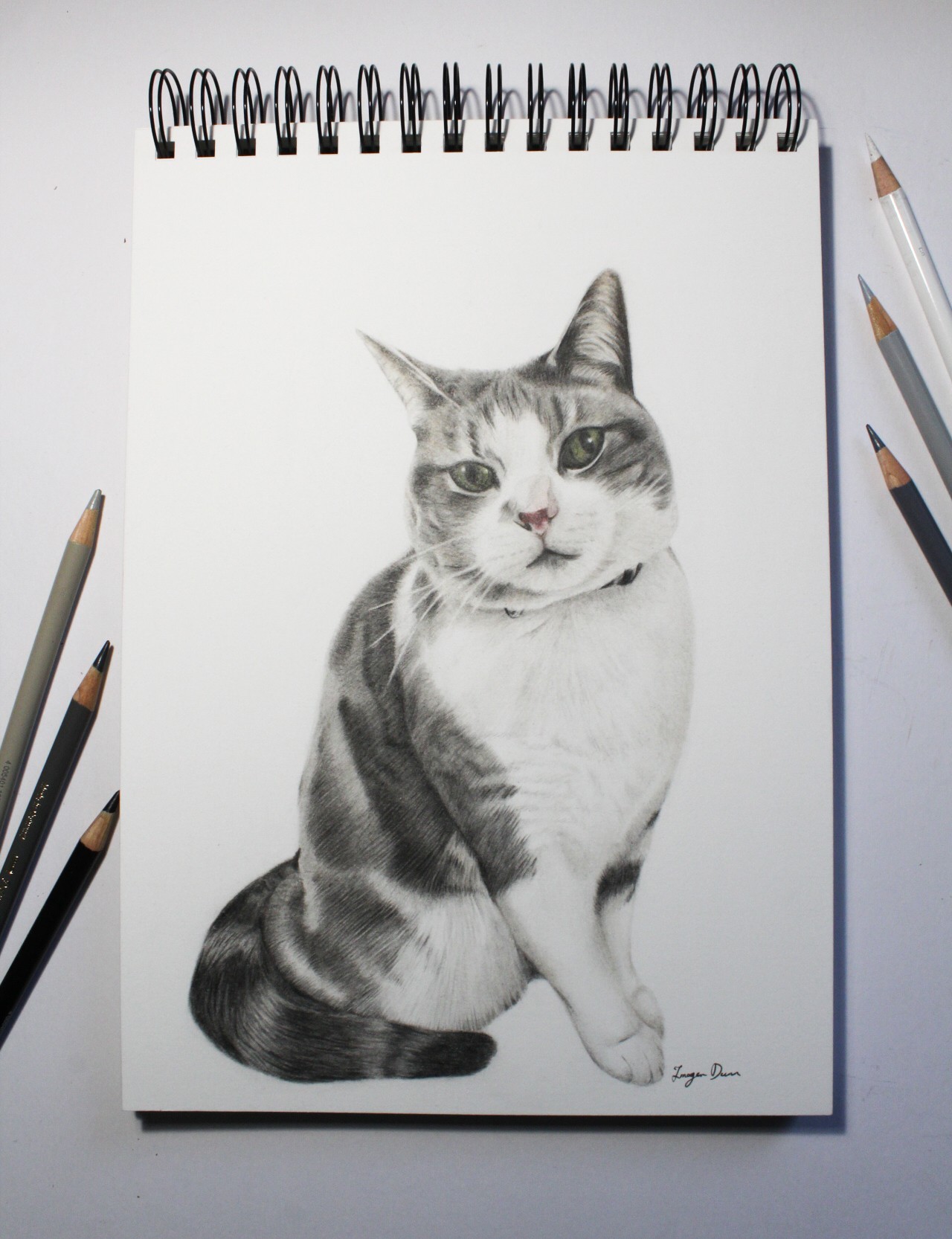 Imogen Dunn - Drawings and Paintings